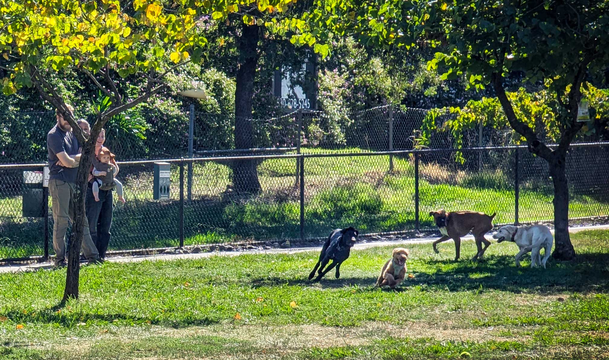 Auburn Dog Friendly Hotel